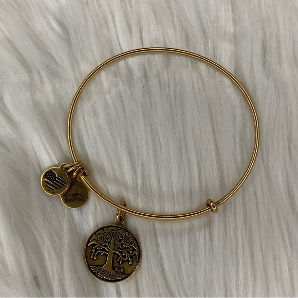 Alex and Ani | Jewelry | Alex And Ani Rafaelian Gold Tree Of Life Charm Bangle Bracelet | Poshmark